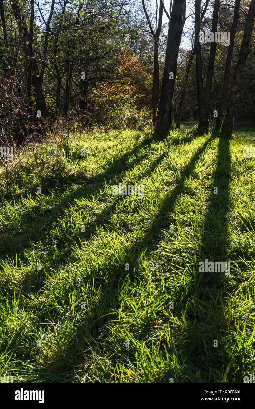 Diverging hi-res stock photography and images - Alamy