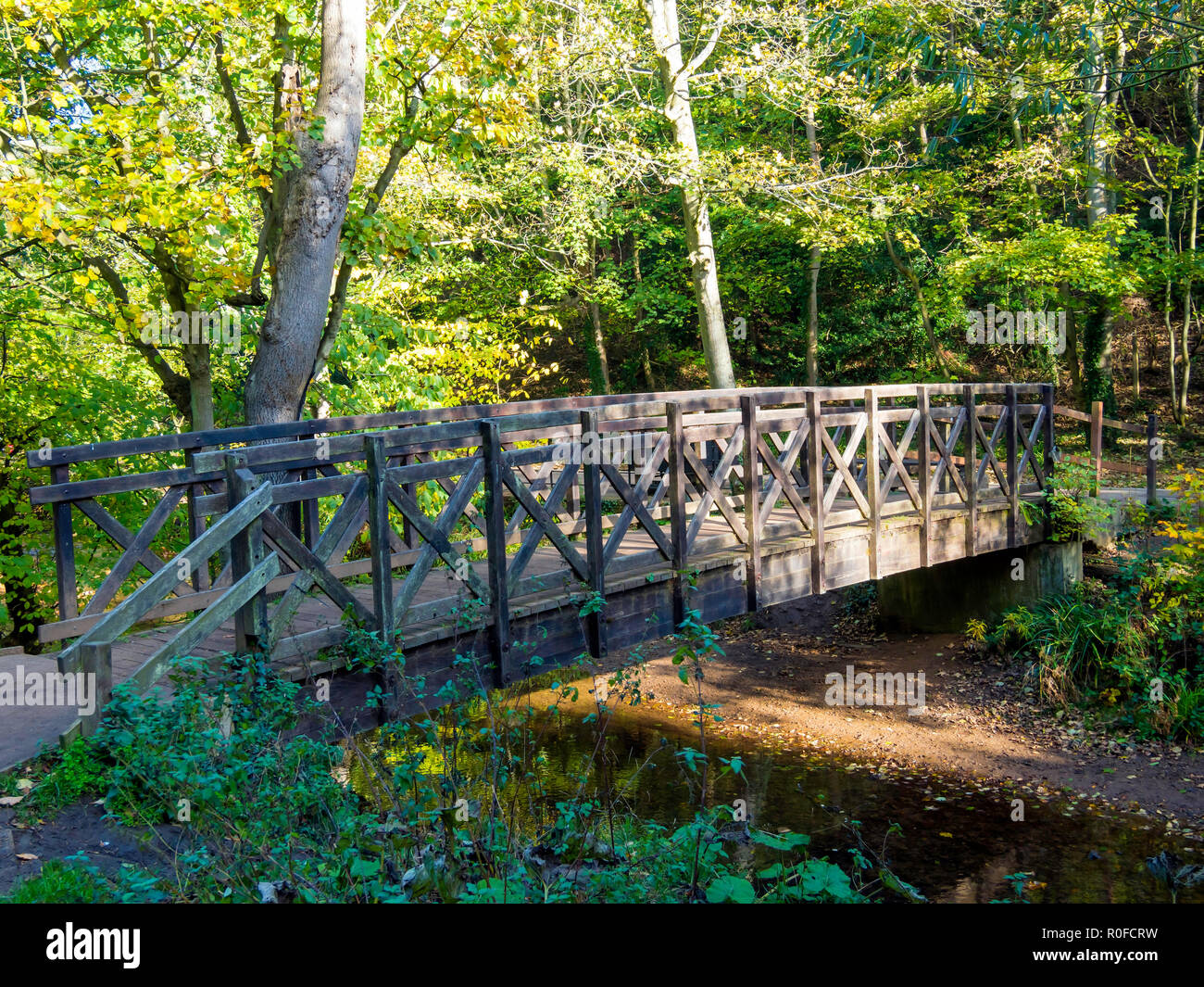 Timber footbridge over the Skelton Beck stream in the Saltburn Valley ...