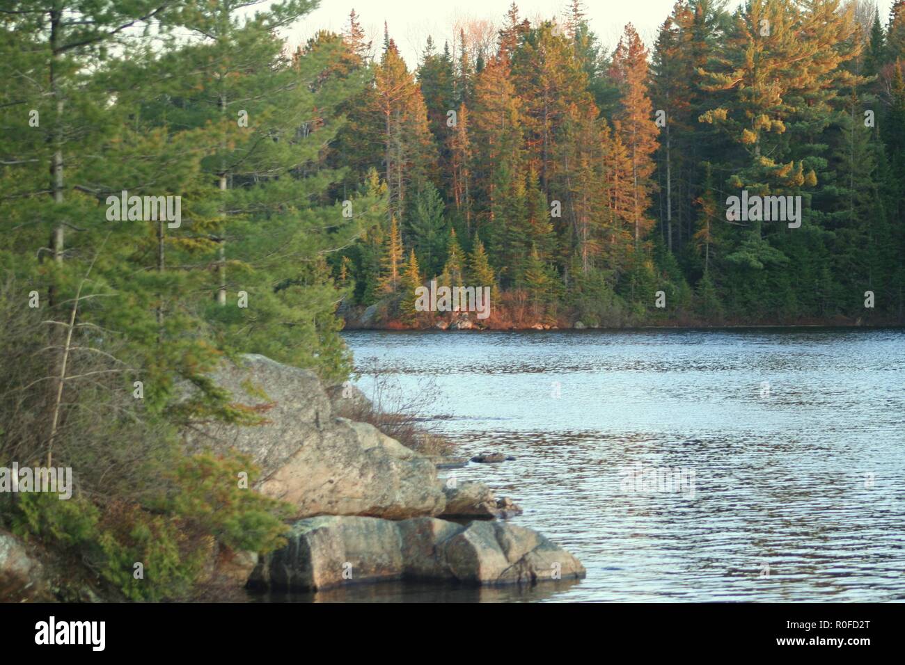 Island on Sunbeam Lake Stock Photo - Alamy