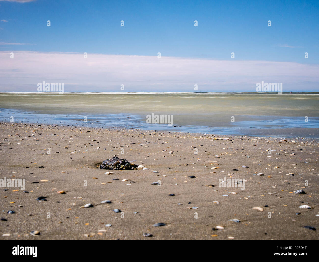Foreground people bathing hi-res stock photography and images - Alamy