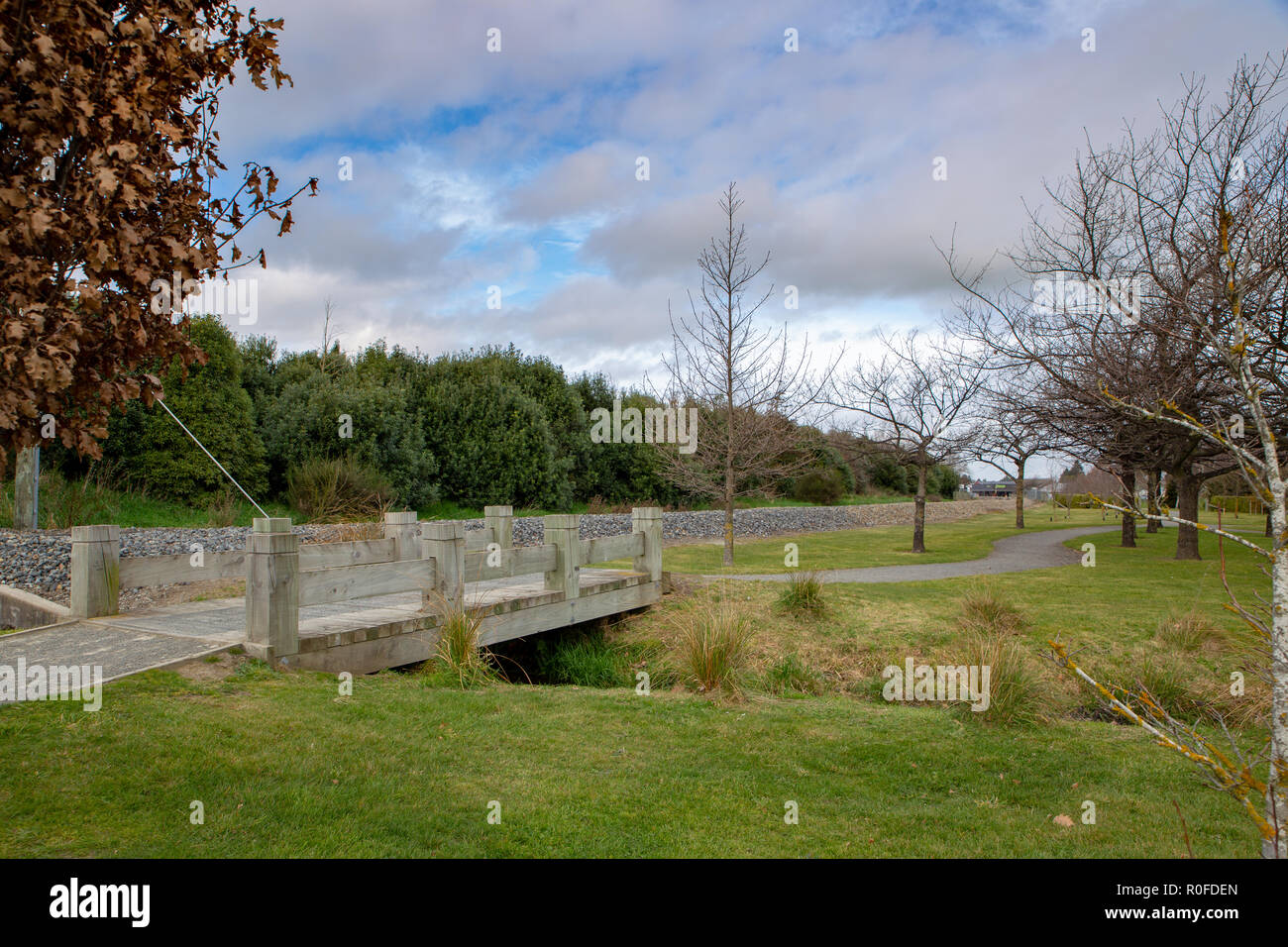 Tree Over Stream New Zealand High Resolution Stock Photography and ...