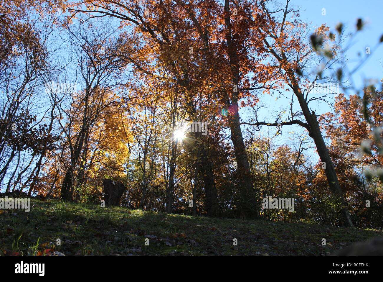 Yellow sunlight shade shadow shadows hi-res stock photography and ...