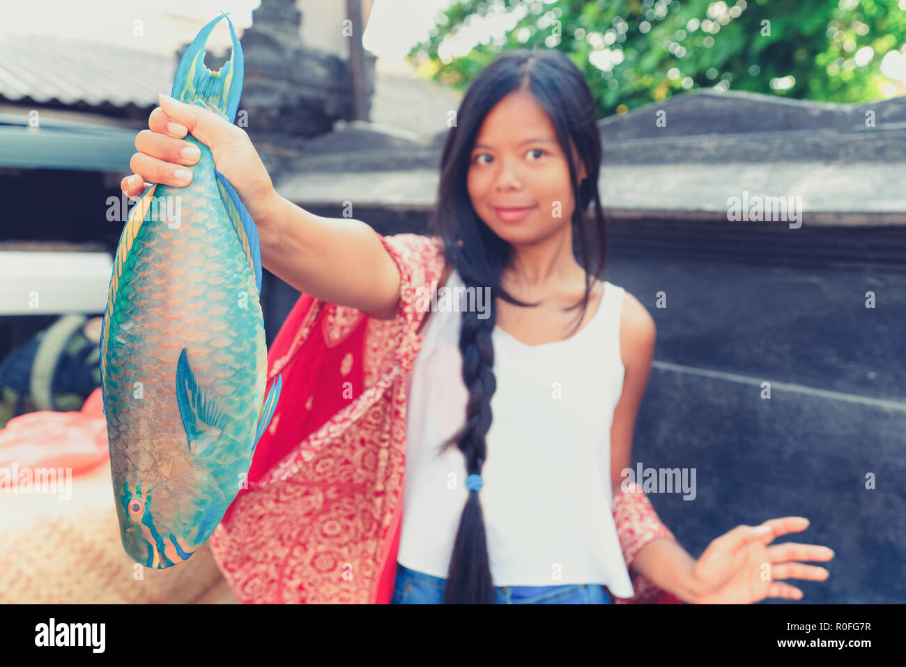 Parrot Fish High Resolution Stock Photography and Images - Alamy