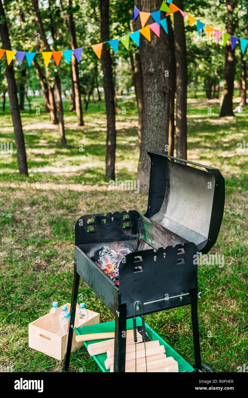 close up view of grill with logs for barbecue in park Stock Photo - Alamy