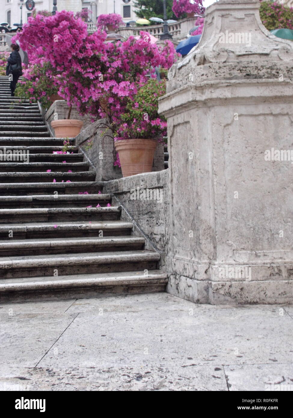 Stairs in Piazza di Spagna, Rome with azaleas in a cloudy and rainy day ...