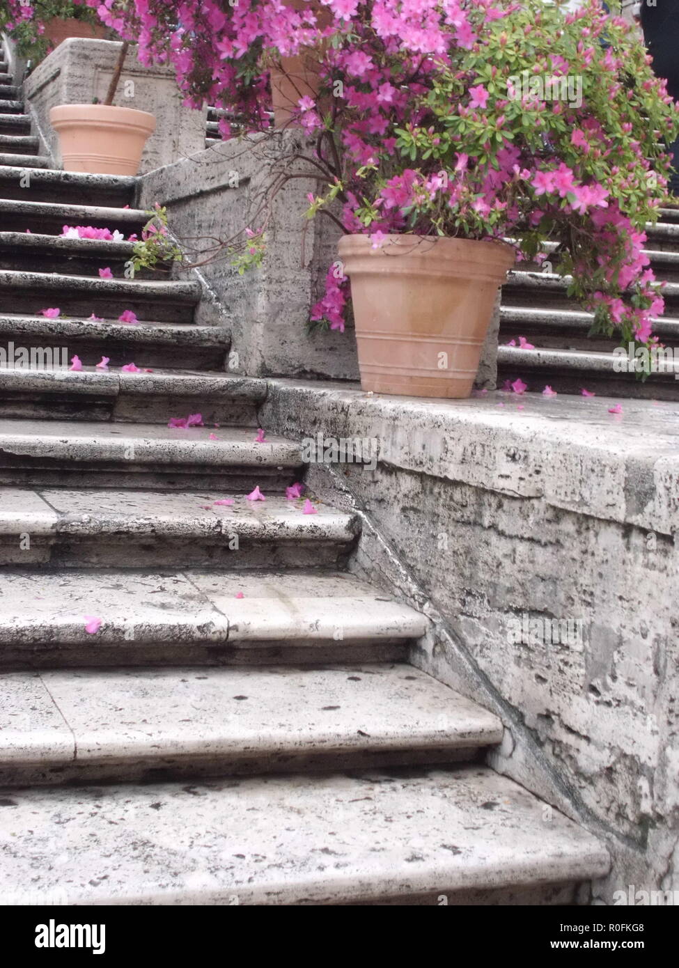 Stairs in Piazza di Spagna, Rome with azaleas in a cloudy and rainy day ...