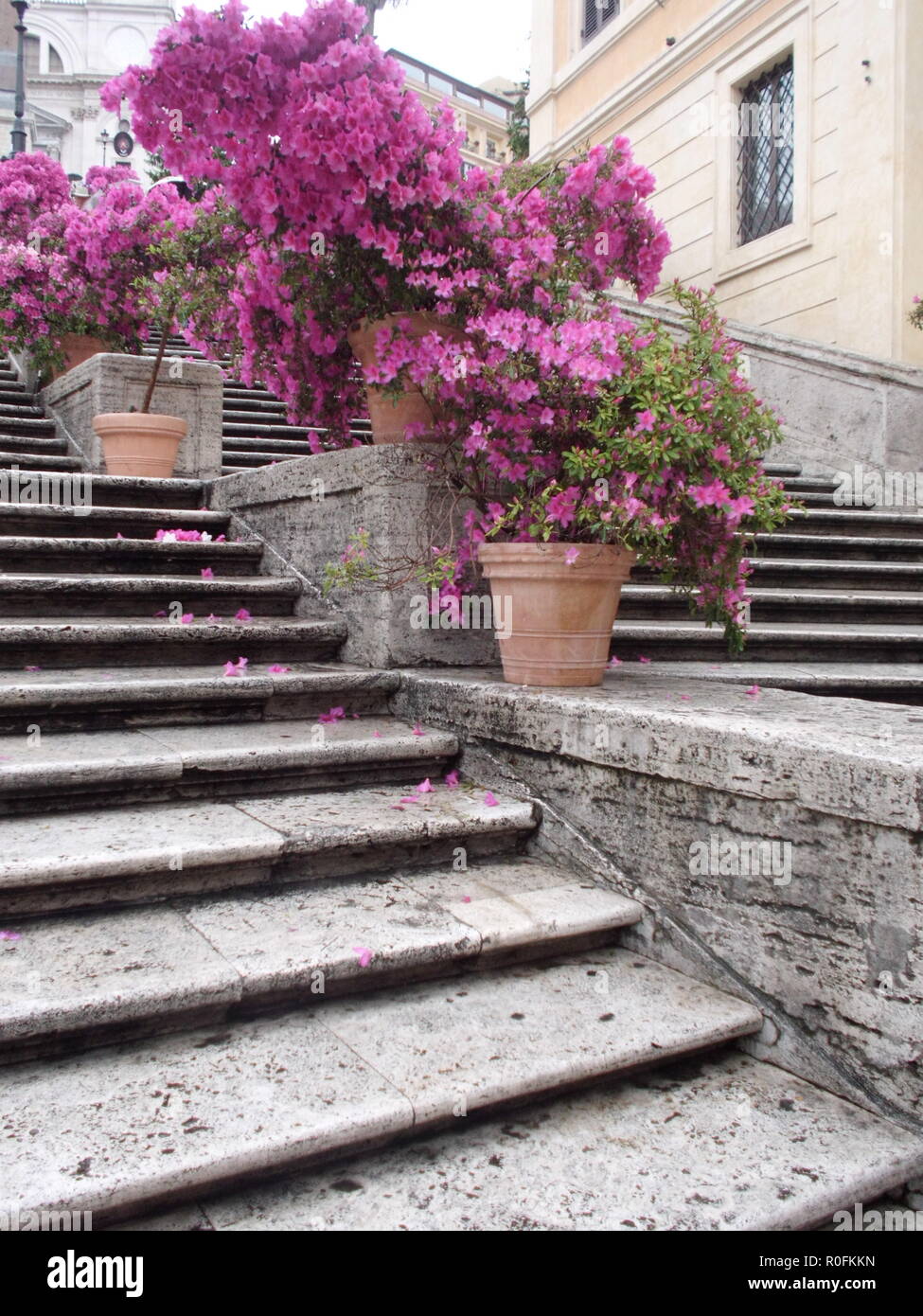 Stairs in Piazza di Spagna, Rome with azaleas in a cloudy and rainy day ...