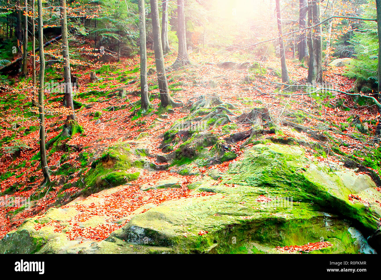 Rock lump slope hi-res stock photography and images - Alamy
