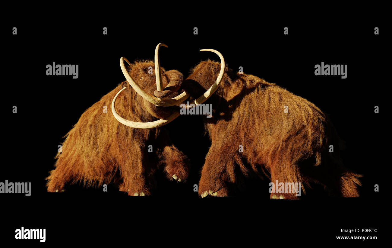 Ice age animal hi-res stock photography and images - Alamy