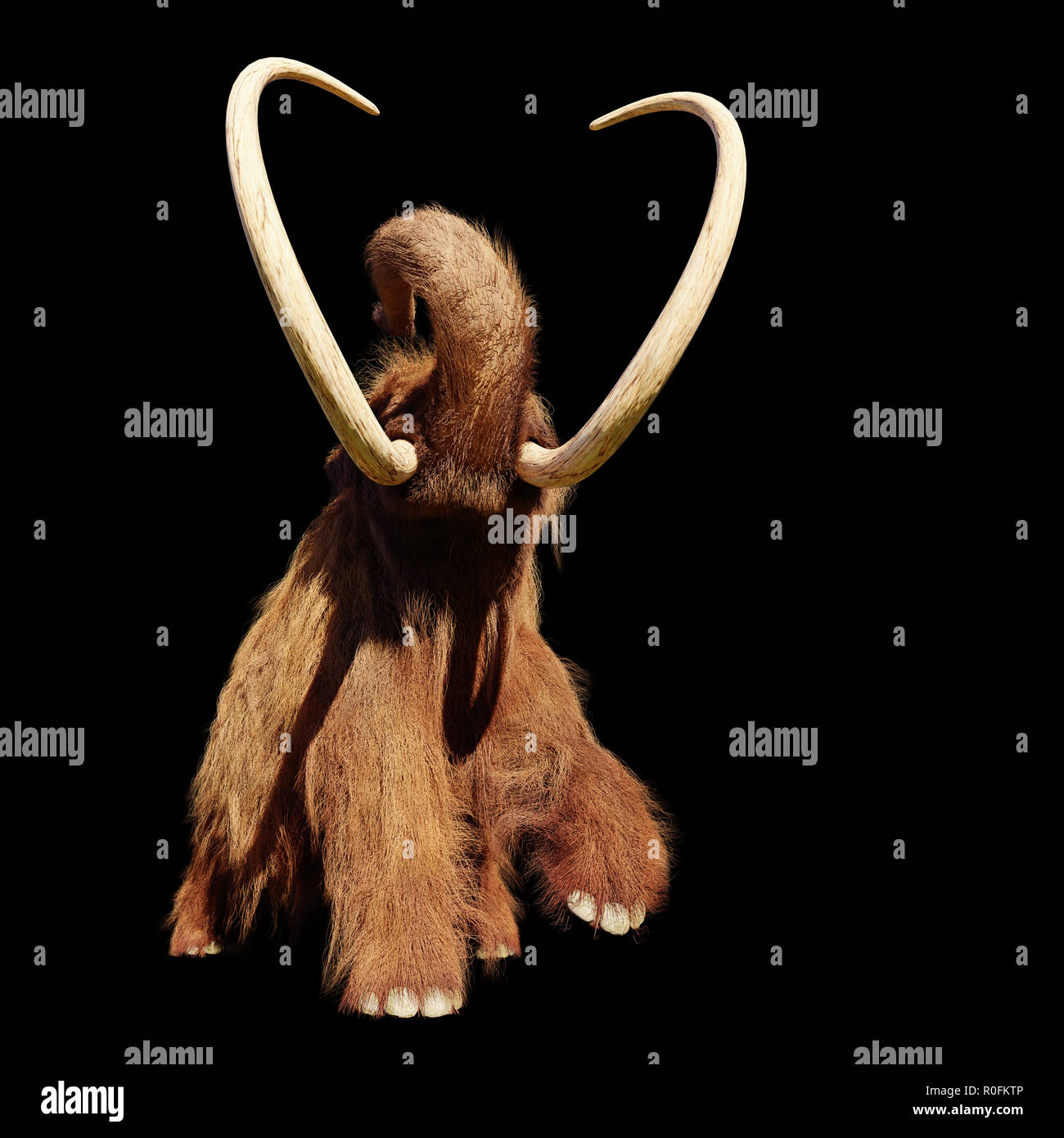 woolly mammoth, running prehistoric mammal isolated on black background ...