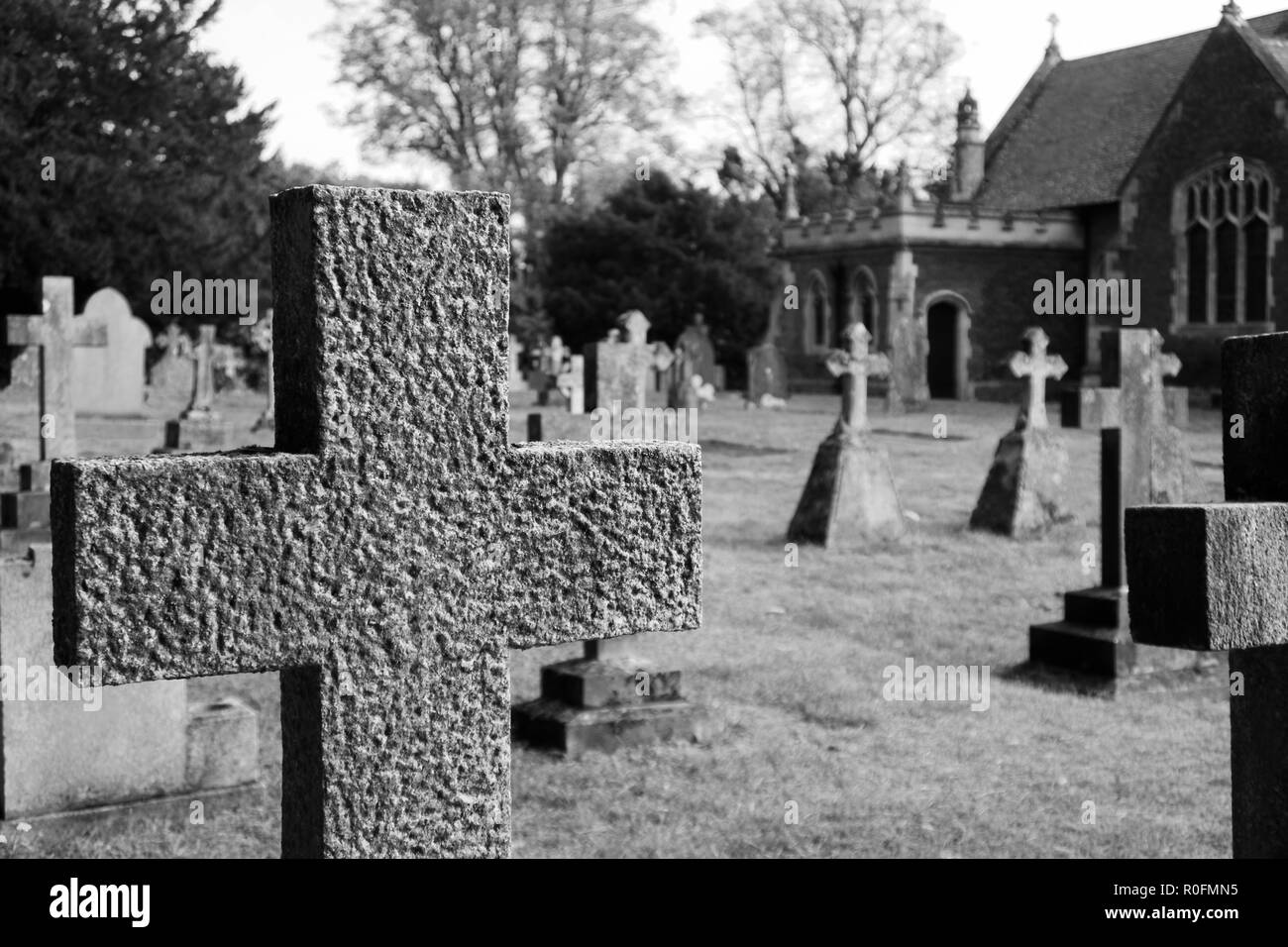 Royal in nature Black and White Stock Photos & Images - Alamy