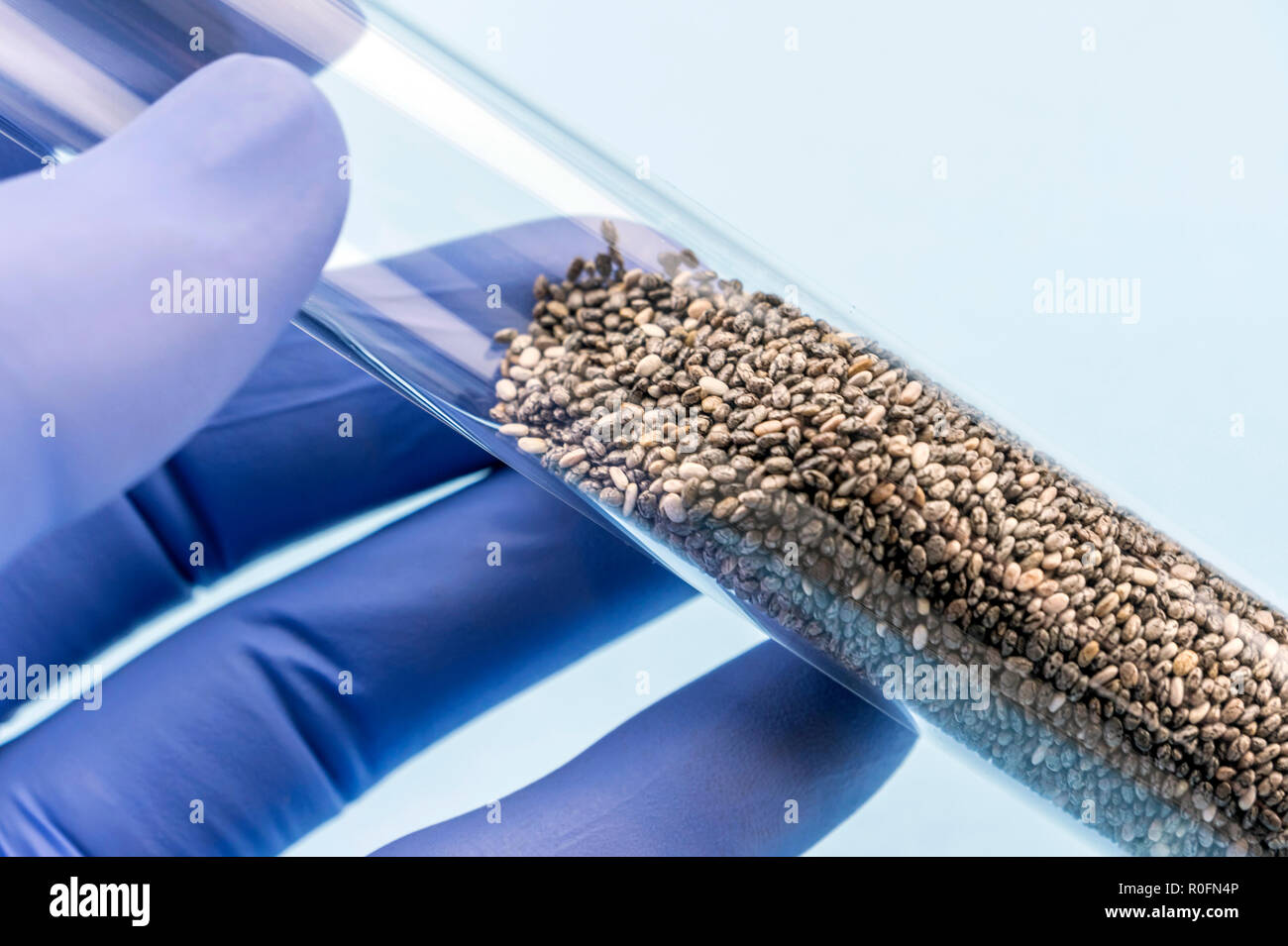 Seed laboratory hi-res stock photography and images - Alamy