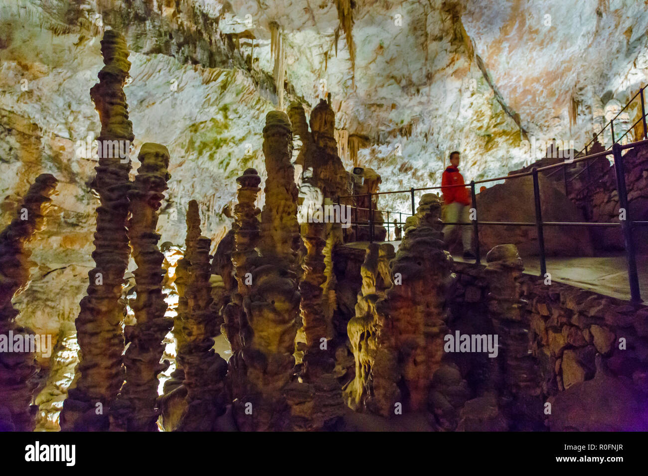 Postojna Cave. Inner Carniola region. Slovenia, Europe Stock Photo - Alamy