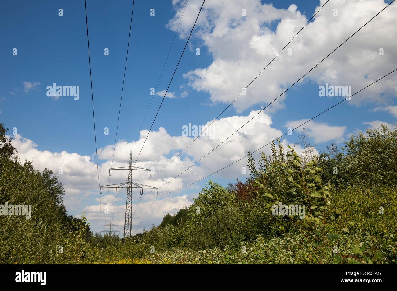 High voltage pole with electric cable, North Rhine-Westphalia, Germany ...