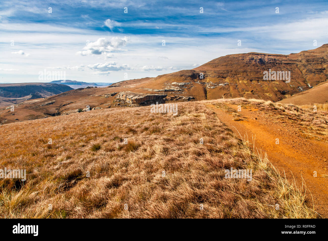 Golden gate reserve hi-res stock photography and images - Alamy