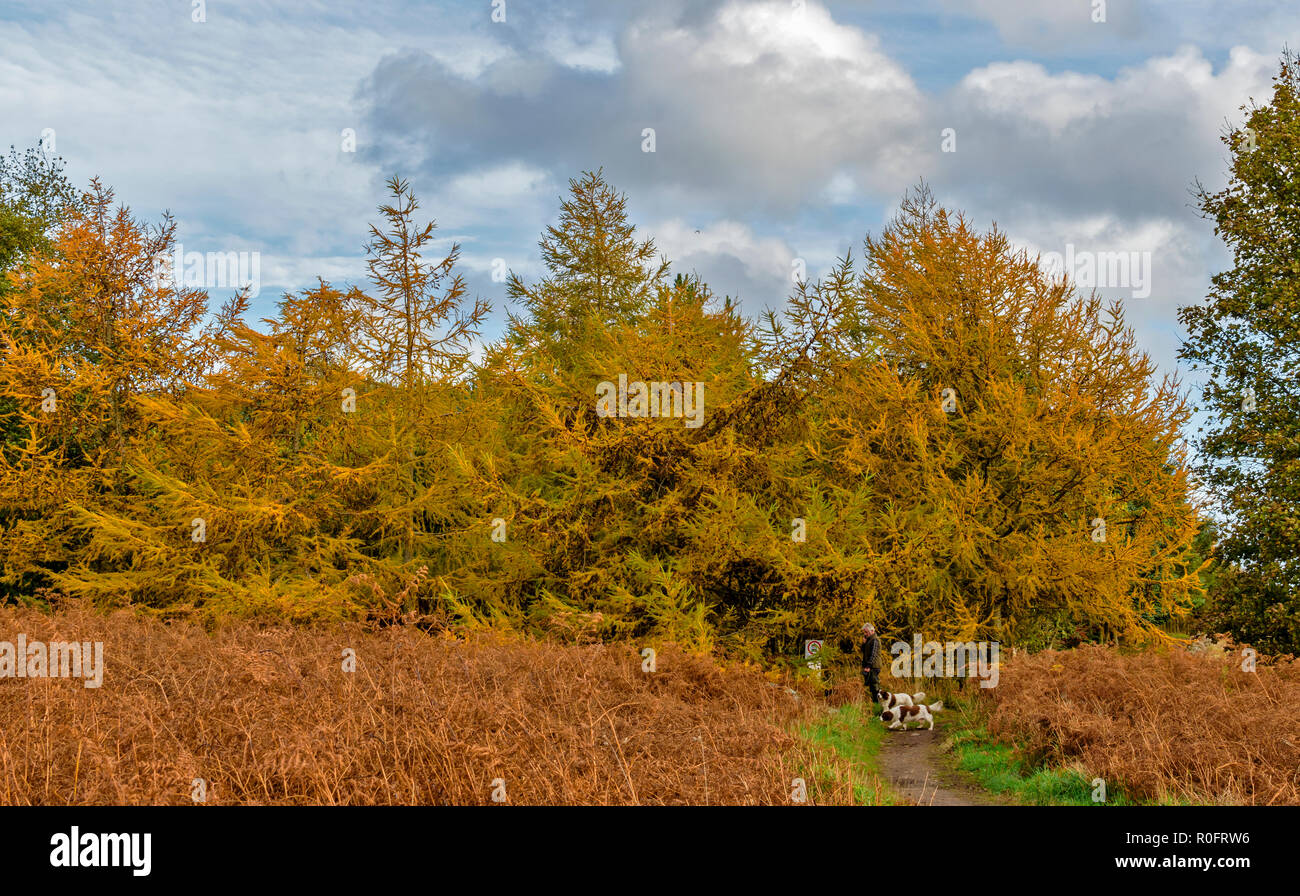 Scotstown moor aberdeen hi-res stock photography and images - Alamy