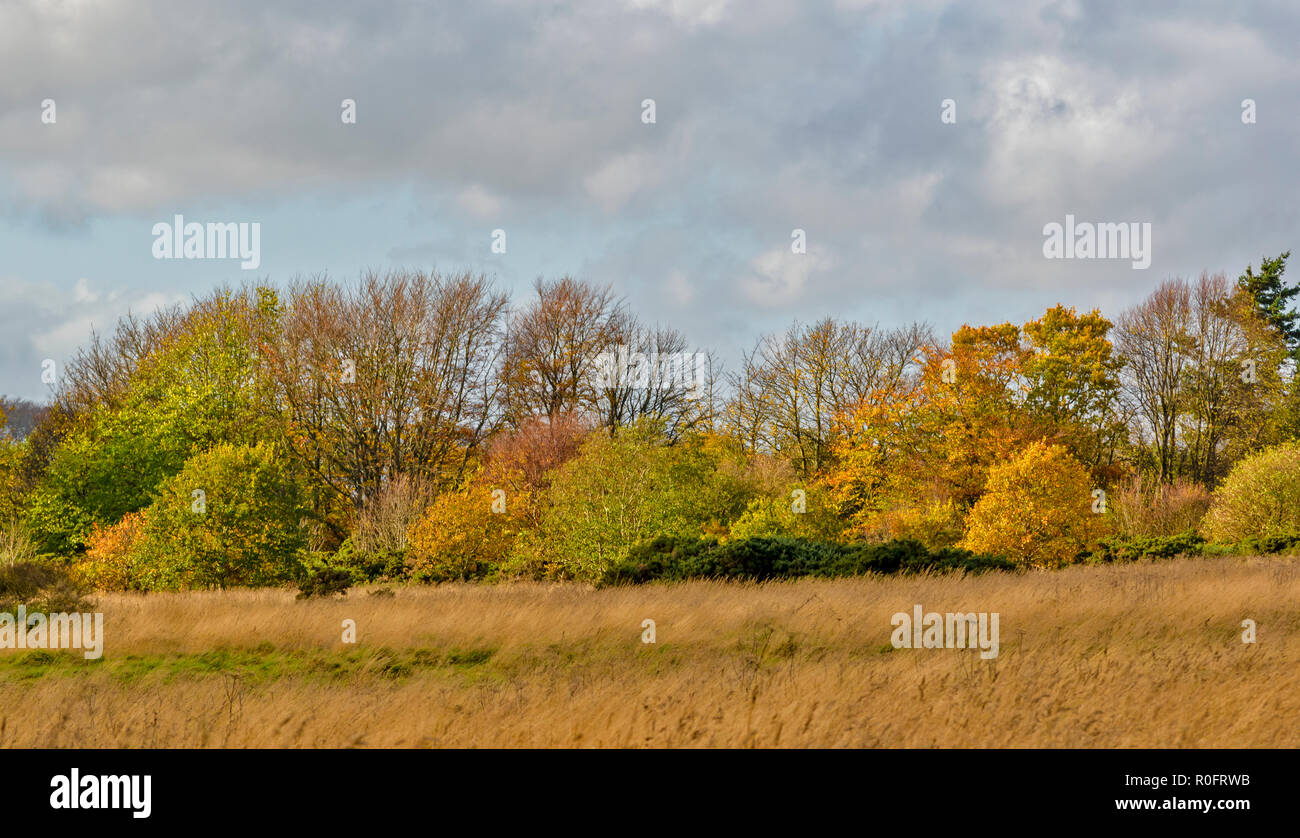 Aberdeen autumn hi-res stock photography and images - Alamy