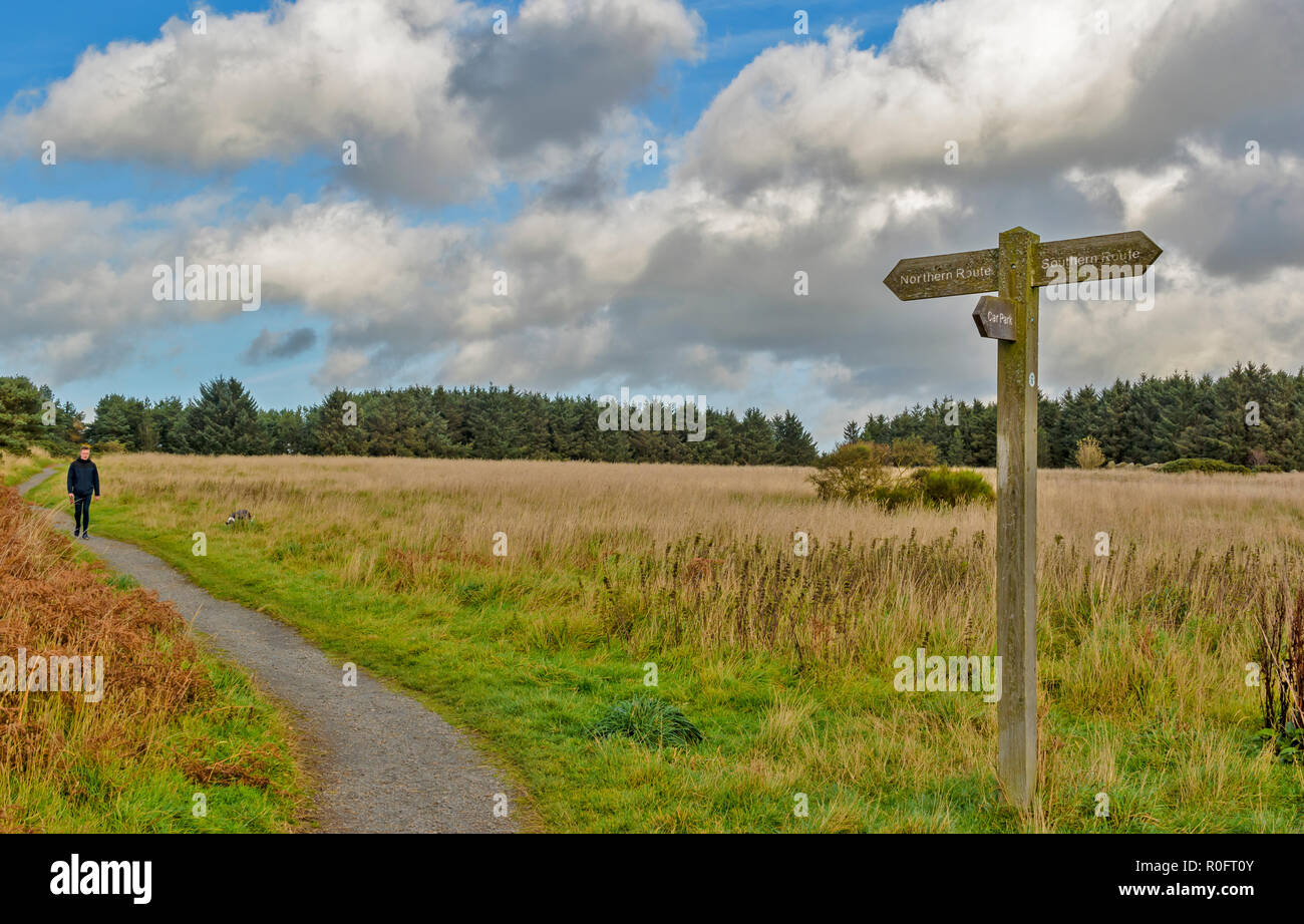Walking signpost pathway hi-res stock photography and images - Alamy