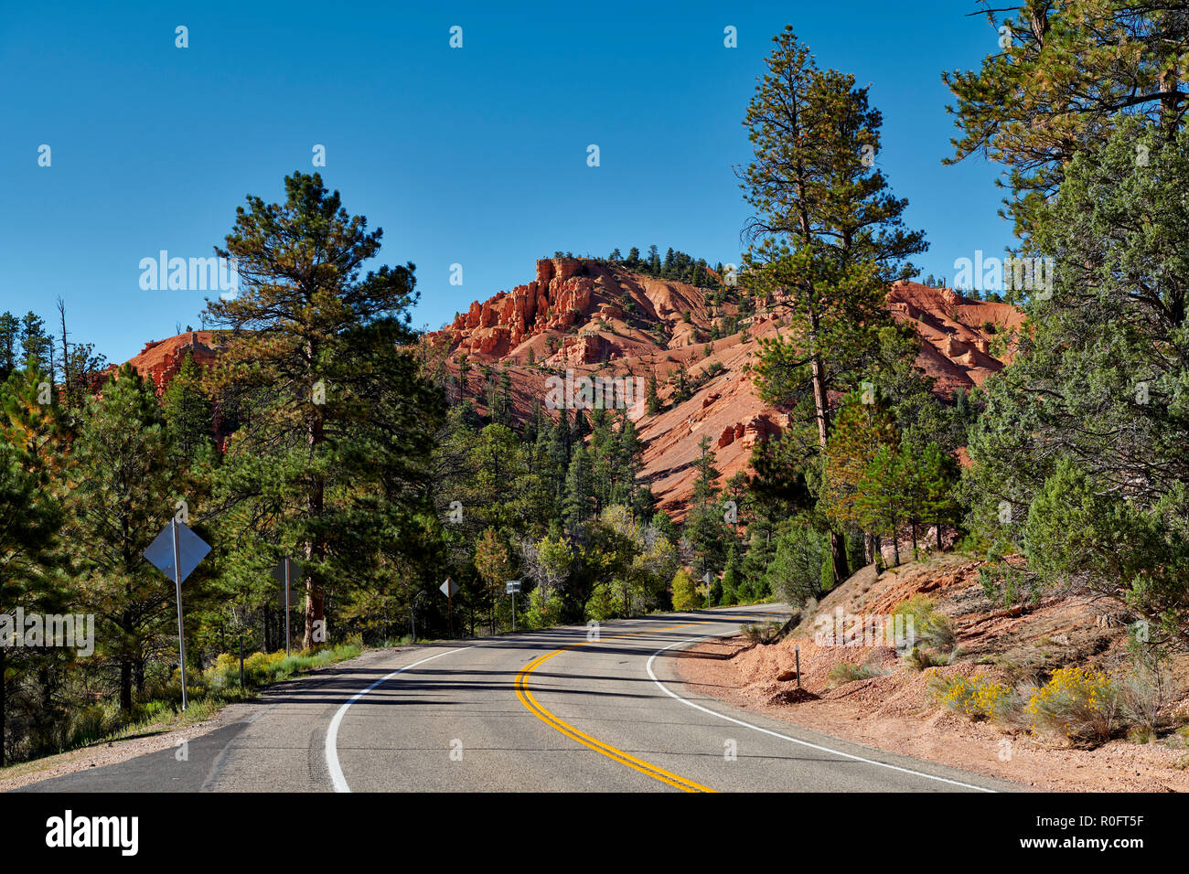 Road through red canyon in hi-res stock photography and images - Alamy