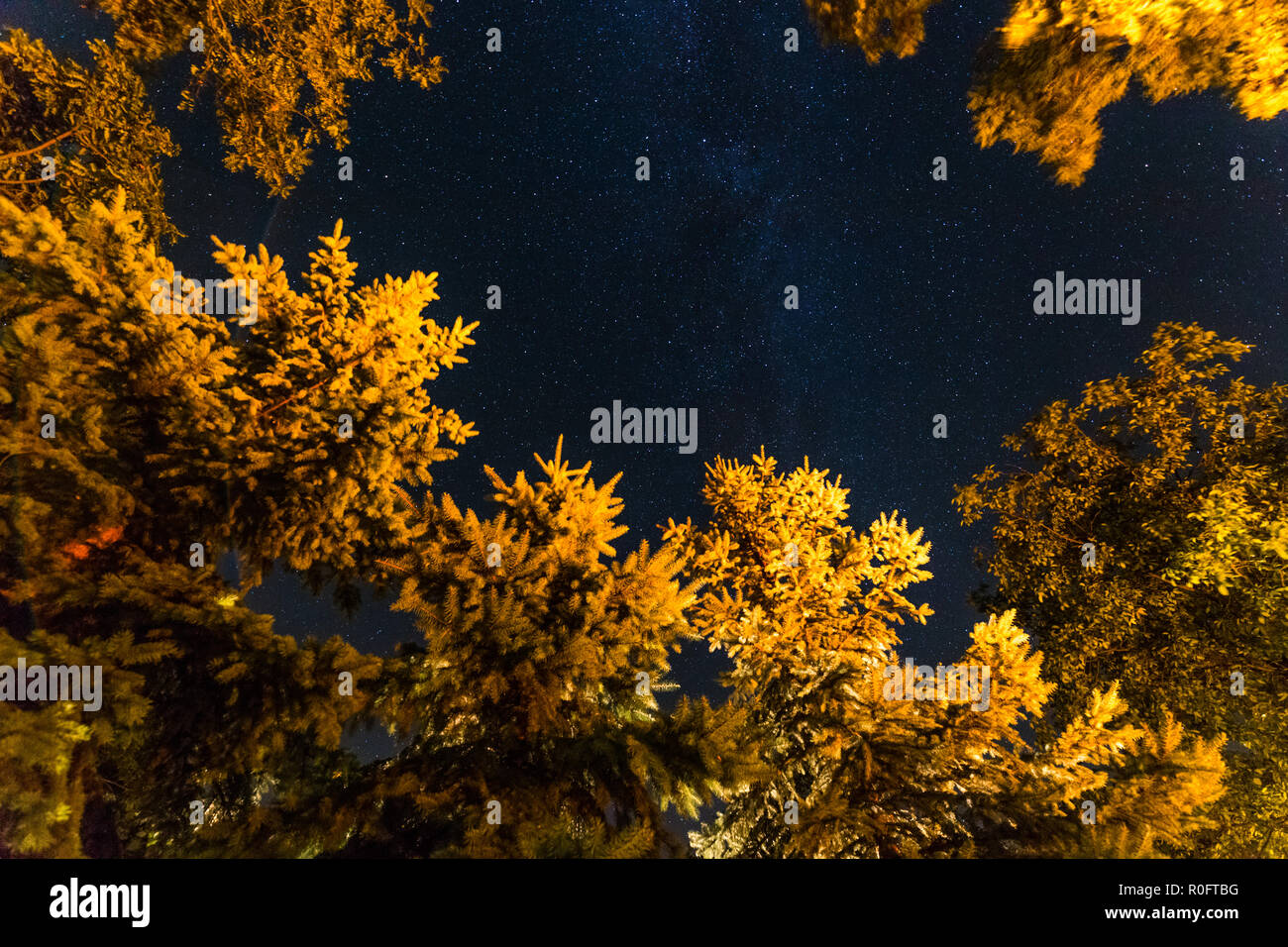 Night sky stars milky way hi-res stock photography and images - Alamy