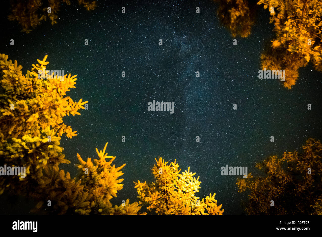 Night sky stars milky way hi-res stock photography and images - Alamy