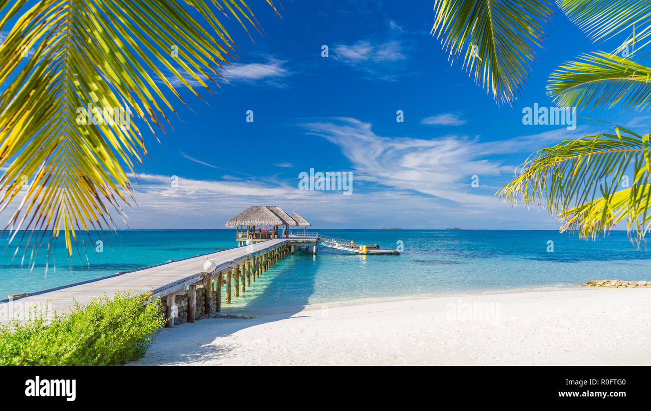 Cool Holiday Resort Scene Four Seasons Cabo San Lucas Elevates Cabo's