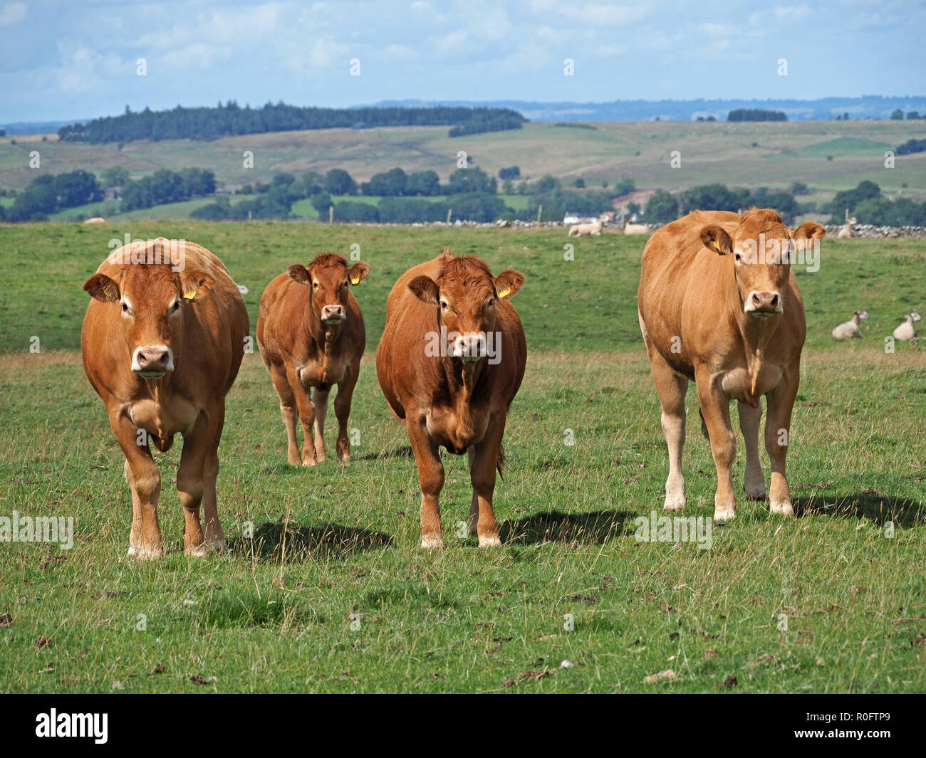 Pennine fringe hi-res stock photography and images - Alamy