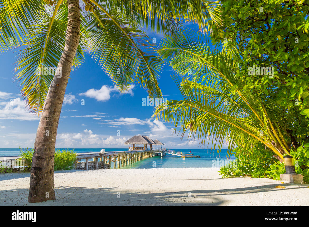 Amazing scenery, relaxing beach, tropical landscape background. Summer ...