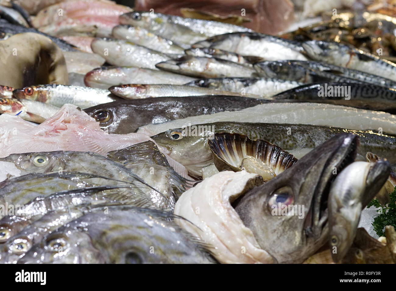 Fresh Fish Counter Stock Photo - Alamy