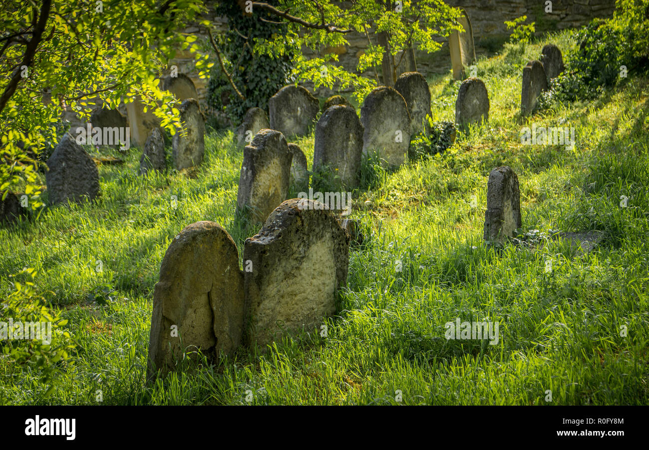 Tombstones in the Old Jewish Cemetery in Skalica, Slovakia. Founded in ...