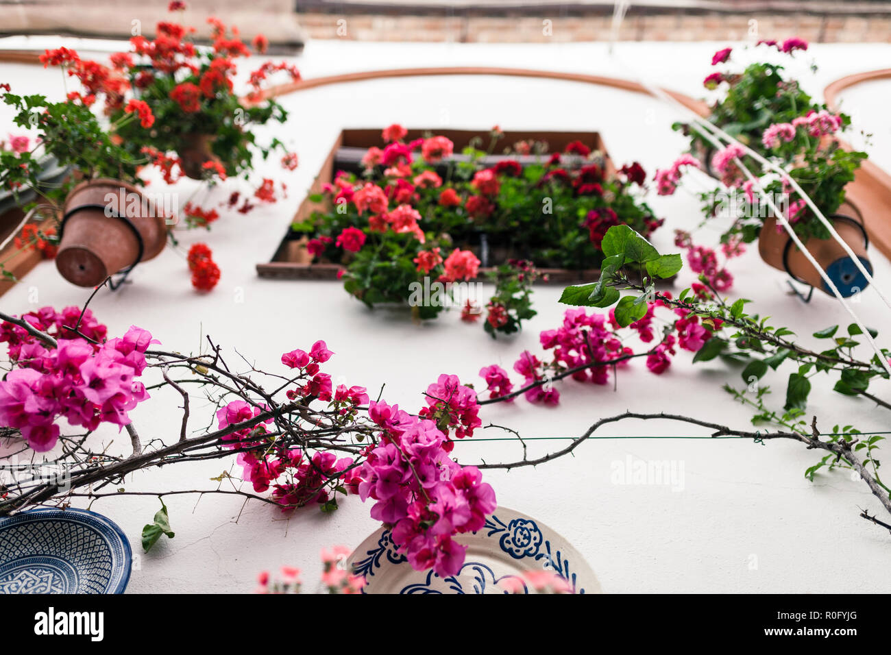 Typical andalusian courtyard in Cordoba, Andalusia Spain with a lot of ...
