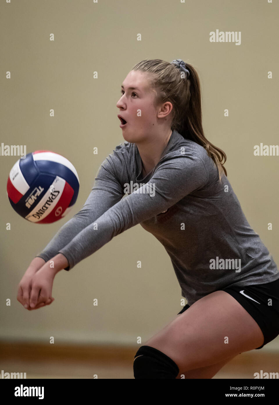 Volleyball action with Quincy vs. Hamilton High School in Red Bluff ...