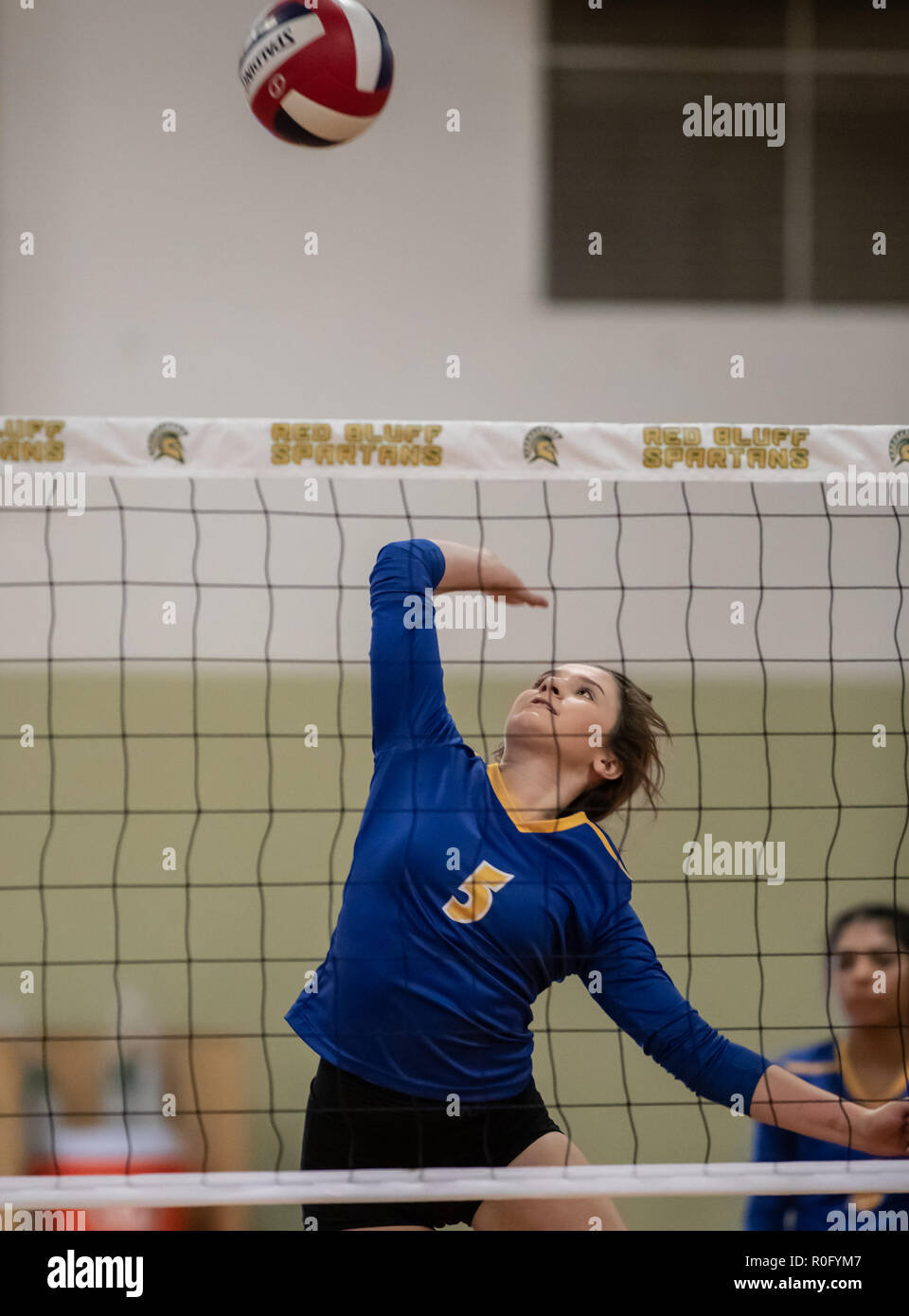 Volleyball action with Quincy vs. Hamilton High School in Red Bluff ...