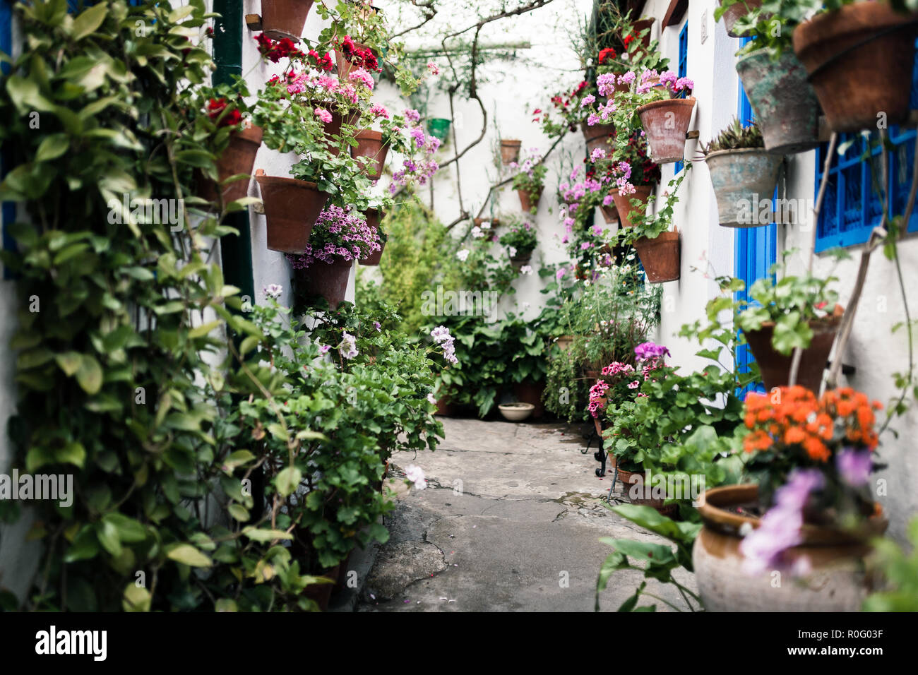Typical andalusian courtyard in Cordoba, Andalusia Spain with a lot of ...