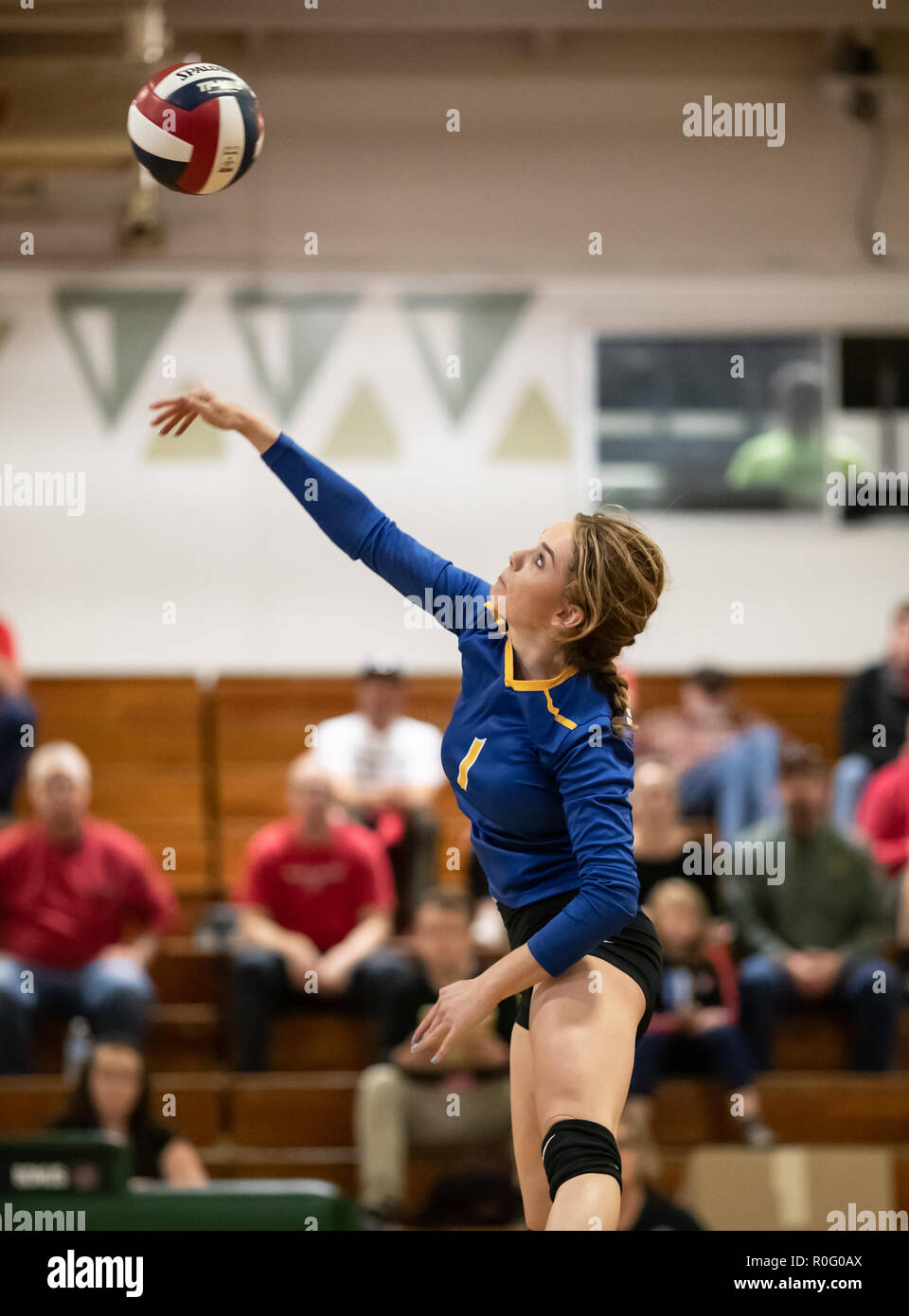 Volleyball action with Quincy vs. Hamilton High School in Red Bluff ...