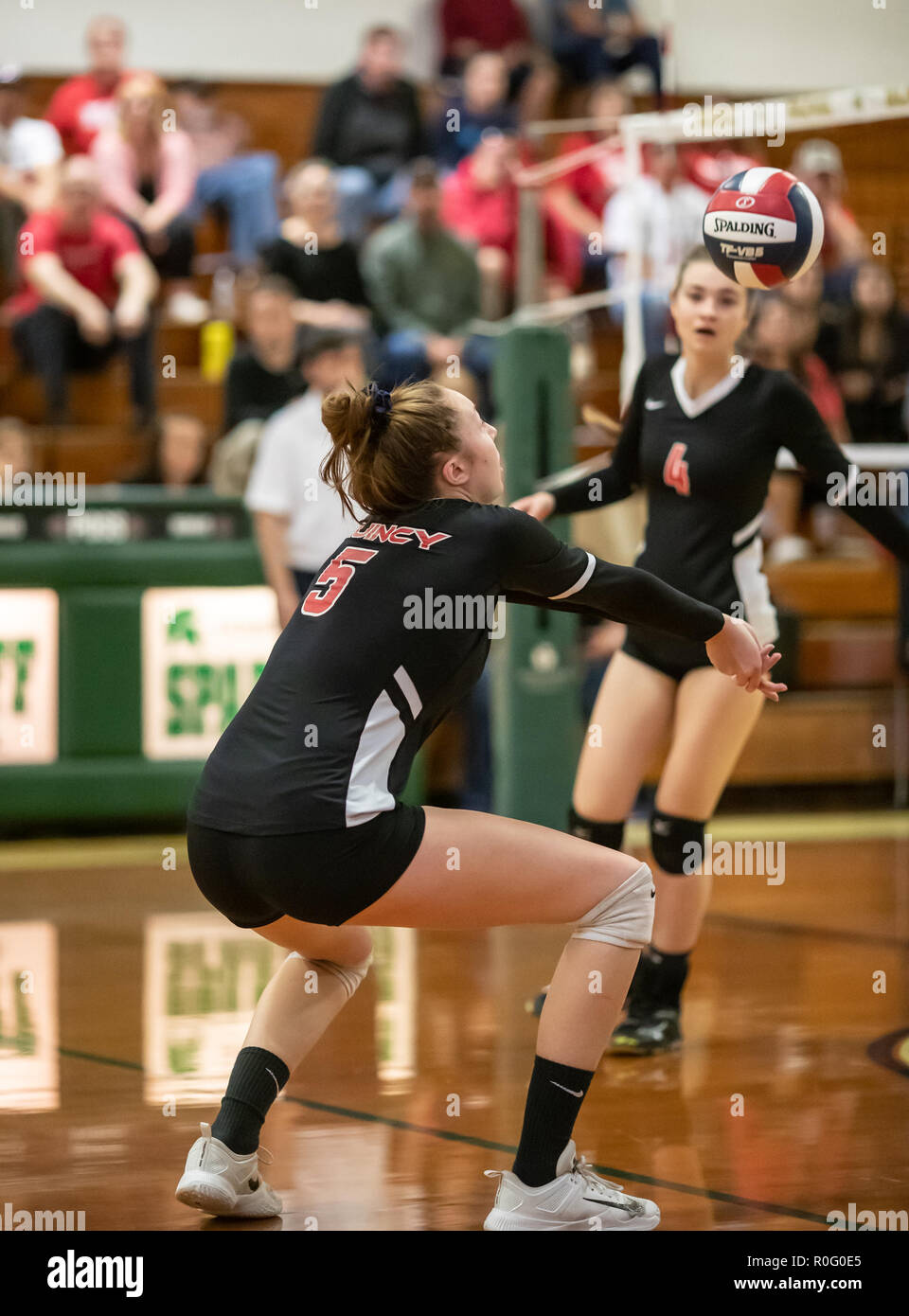 Volleyball action with Quincy vs. Hamilton High School in Red Bluff ...