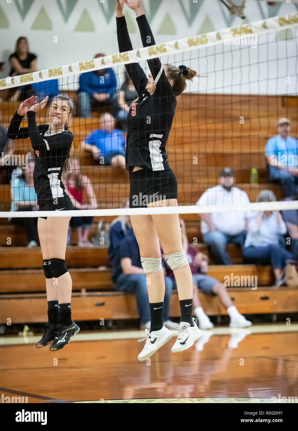 Volleyball action with Quincy vs. Hamilton High School in Red Bluff ...