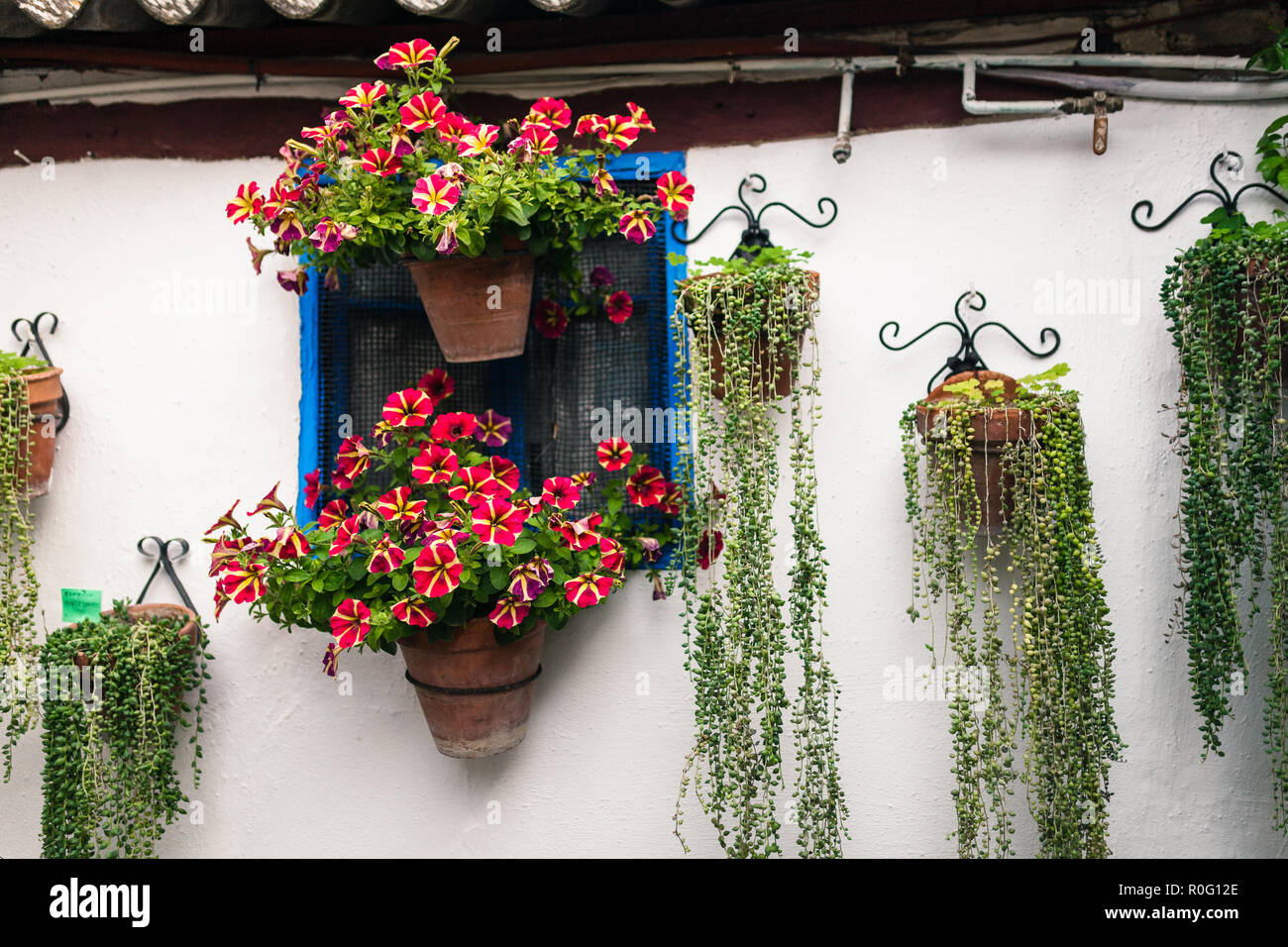 Typical andalusian courtyard in Cordoba, Andalusia Spain with a lot of ...
