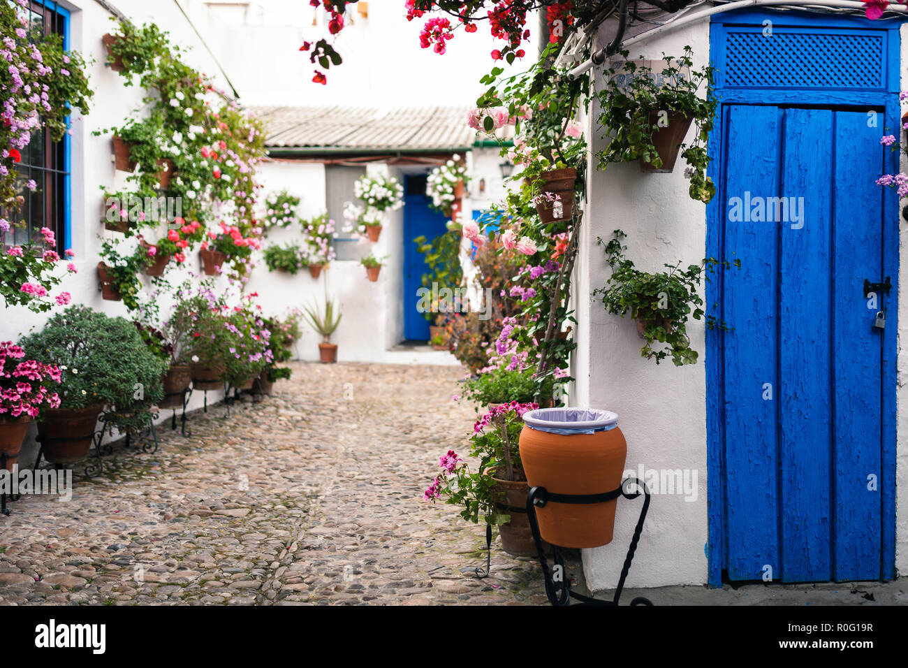 Typical andalusian courtyard in Cordoba, Andalusia Spain with blue ...