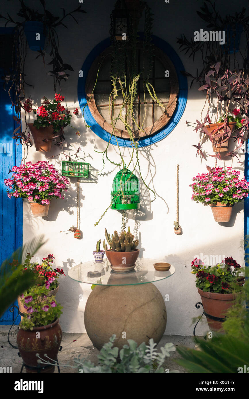 Typical andalusian courtyard in Cordoba, Andalusia Spain with blue ...