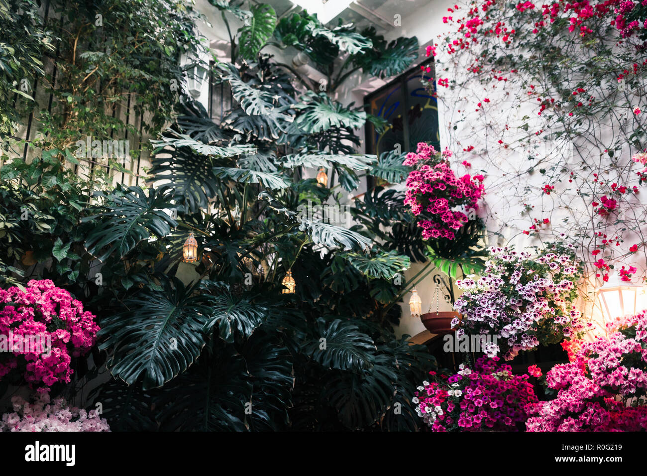Typical andalusian courtyard in Cordoba, Andalusia Spain with a lot of ...