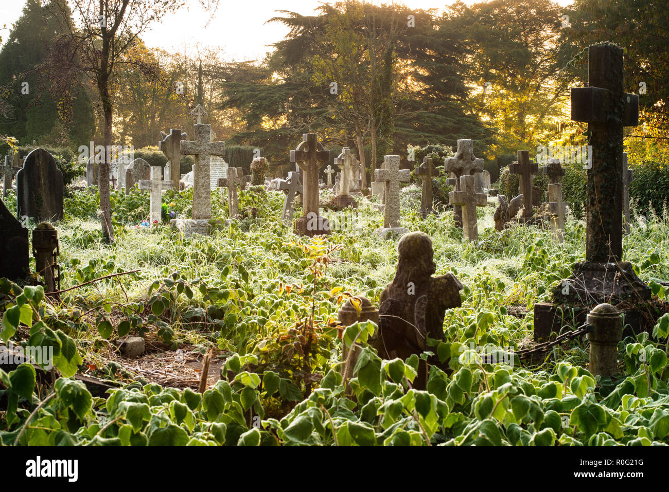 Frost southampton old cemetery hi-res stock photography and images - Alamy