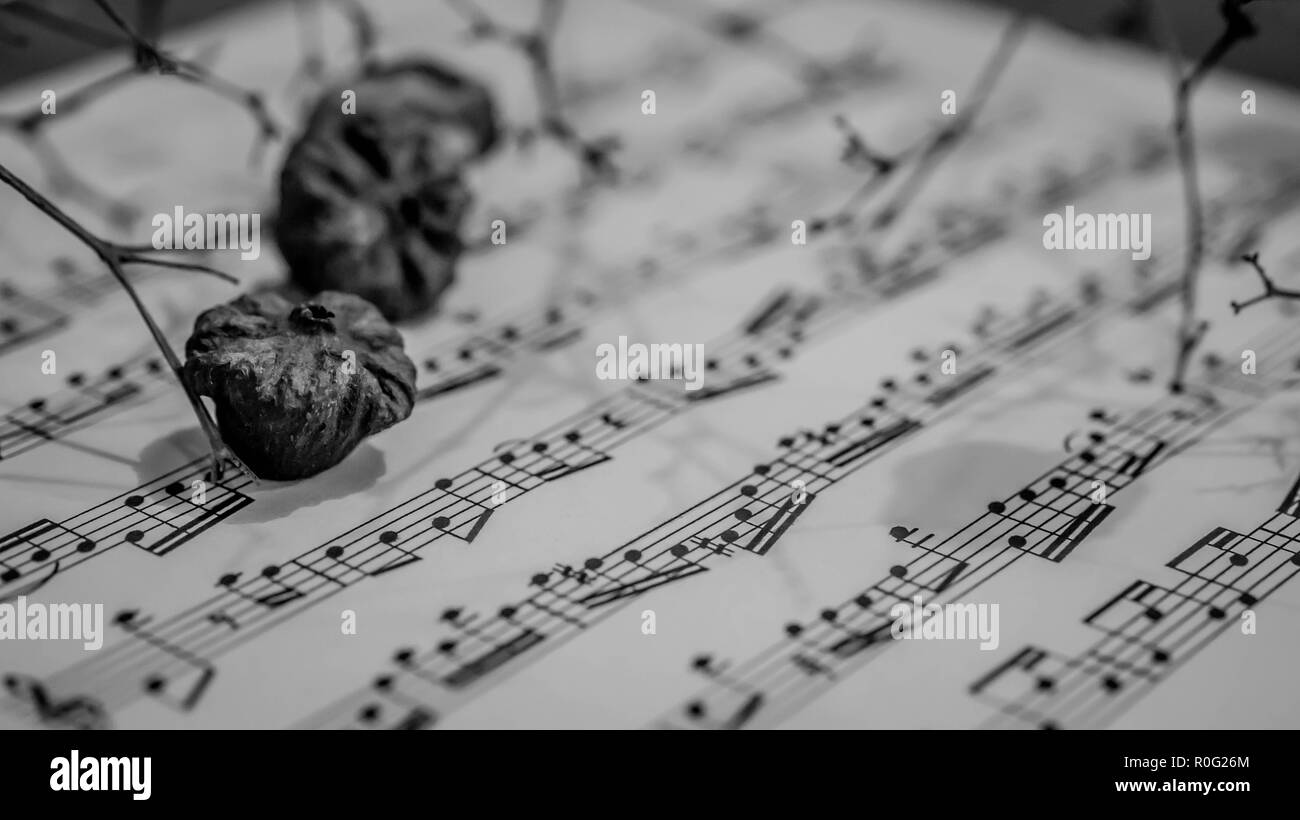 Music lesson sign Black and White Stock Photos & Images - Alamy