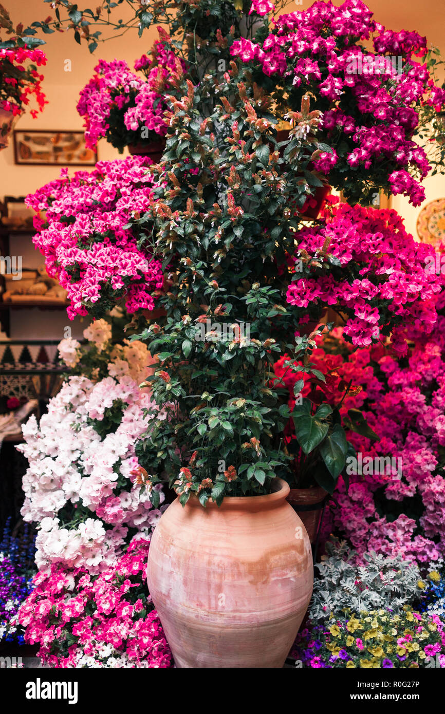Typical andalusian courtyard in Cordoba, Andalusia Spain with a lot of ...