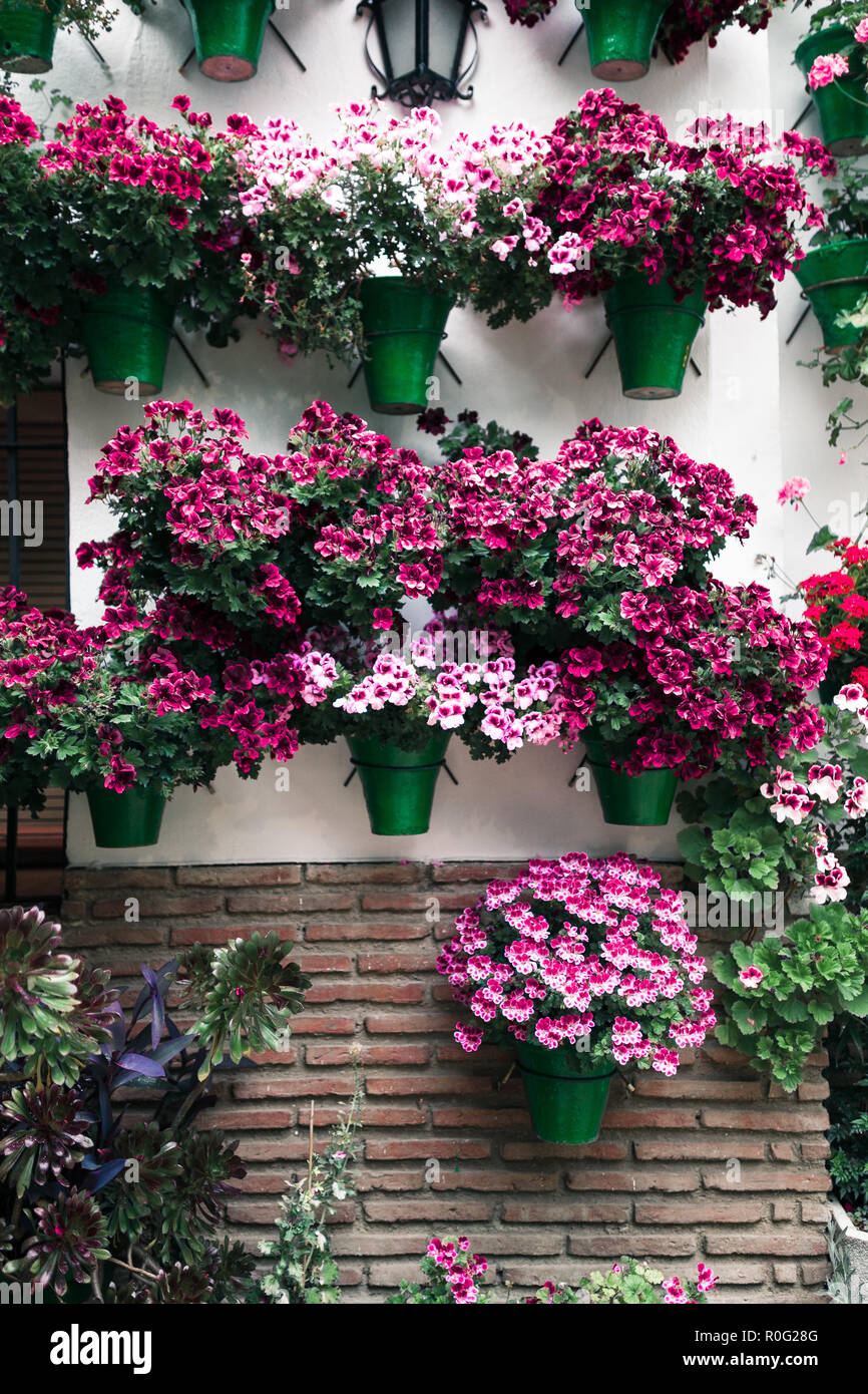 Typical andalusian courtyard in Cordoba, Andalusia Spain with a lot of ...