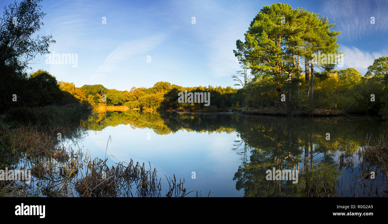 Southampton common southampton hi-res stock photography and images - Alamy