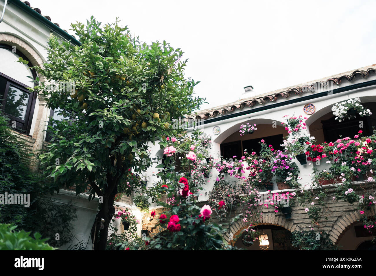 Typical andalusian courtyard in Cordoba, Andalusia Spain with a lot of ...