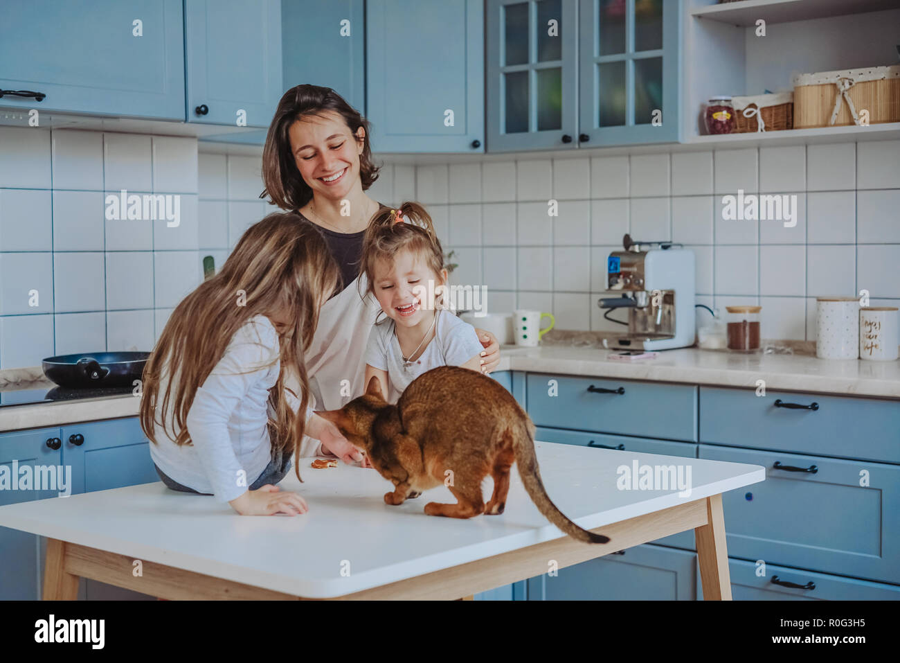 Happy family having fun in the kitchen Stock Photo - Alamy