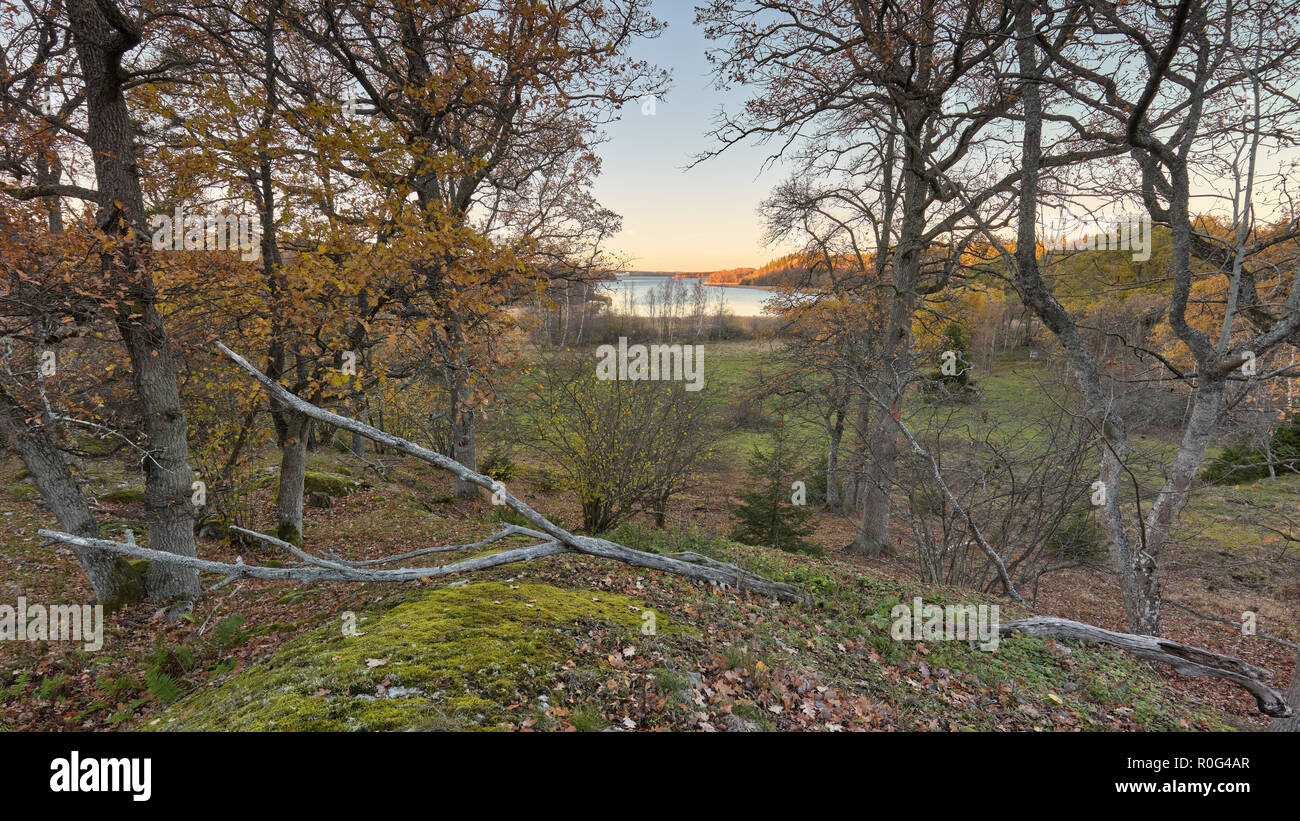 Bay Sandviken during an autumn evening, in Bogesundslandet, near ...