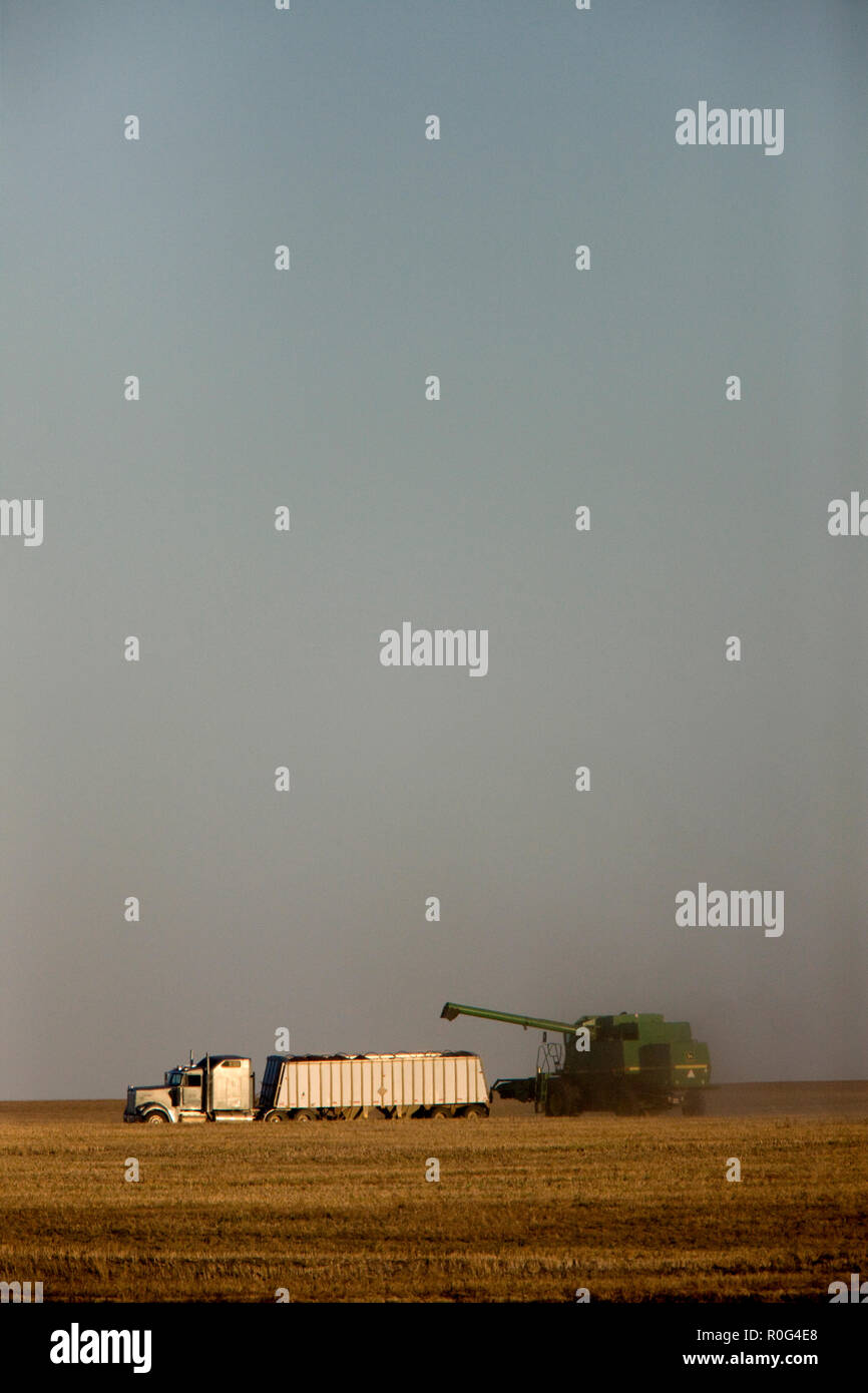 Combine Empty Grain in truck Field Saskatchewan Stock Photo - Alamy